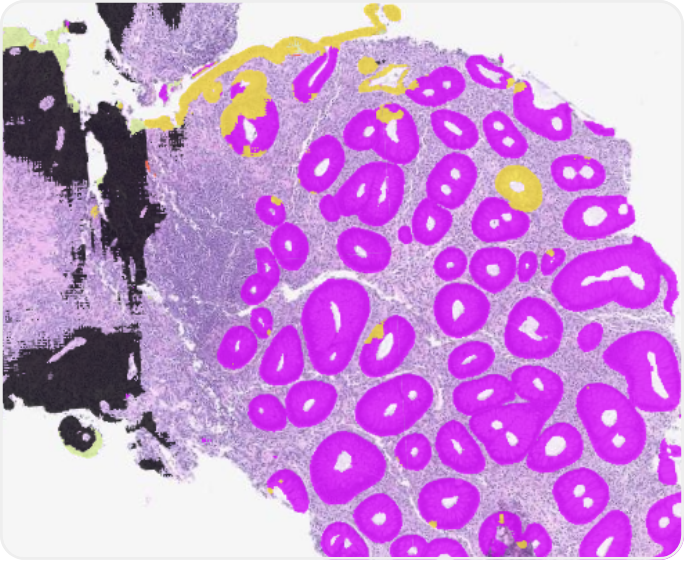 PathAI AISight Image Management System Landing Page
